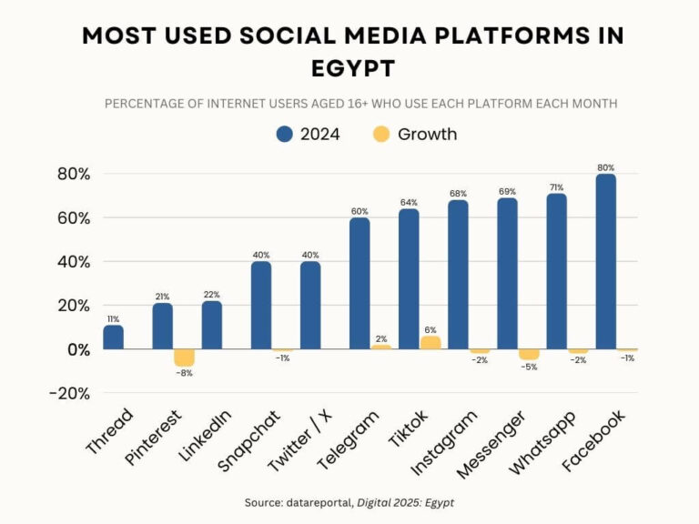 Egyptians and Digital 2025 Report | NAOS Solutions